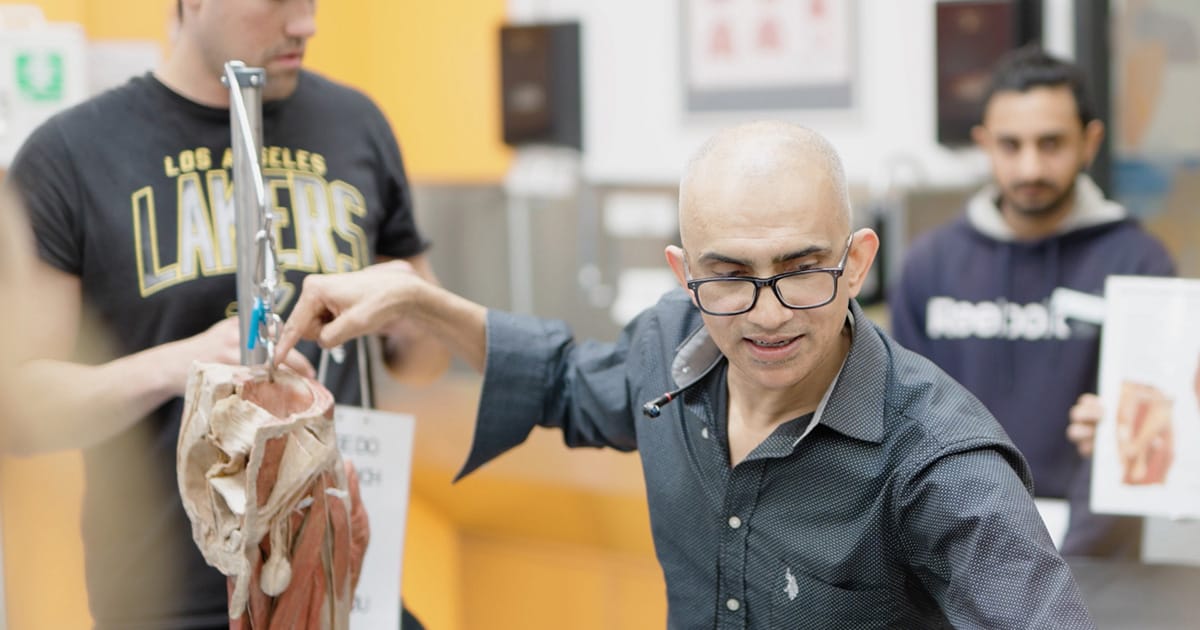 Transforming anatomy from a first-year headache to many students ...